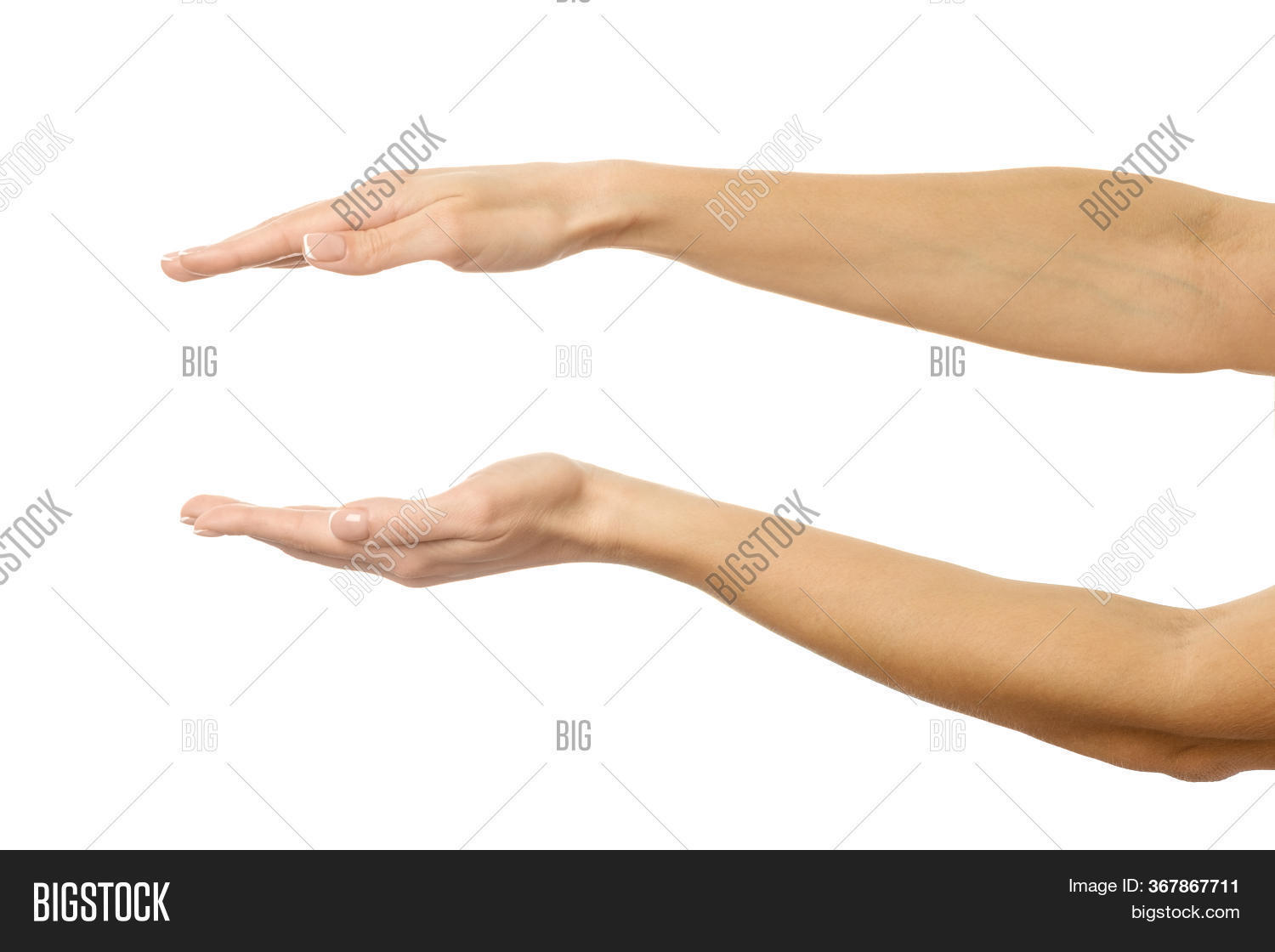 Holding Measuring Image & Photo (Free Trial) | Bigstock