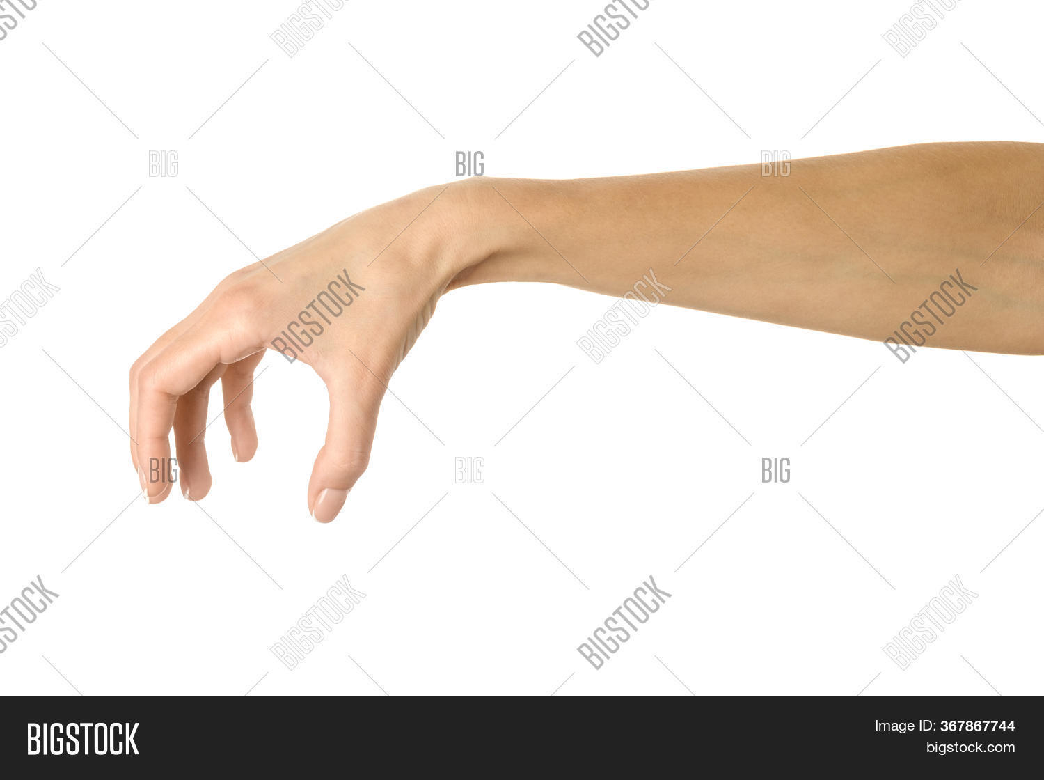 Hand Picking, Holding Image & Photo (Free Trial) | Bigstock