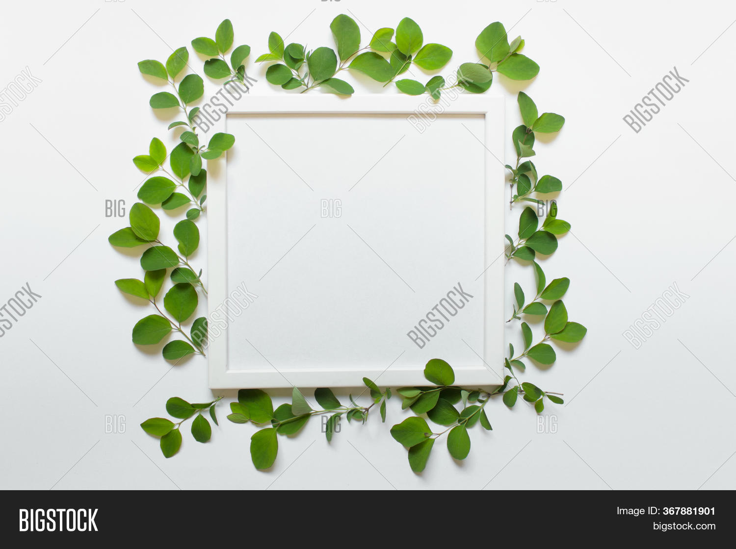 Square Frame Template Image & Photo (Free Trial) | Bigstock