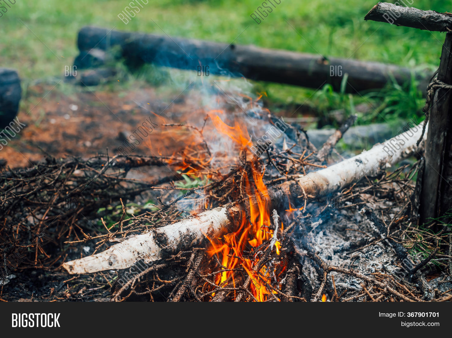 Burning Branches Image & Photo (Free Trial) | Bigstock