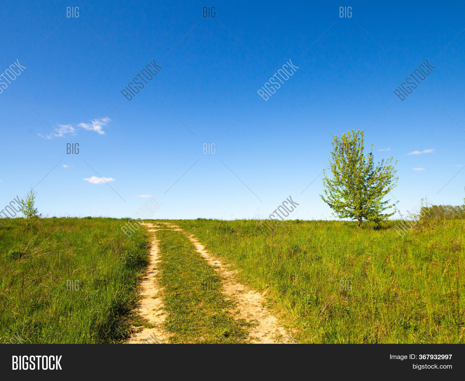 Pleasant Sunny Summer Image & Photo (Free Trial) | Bigstock