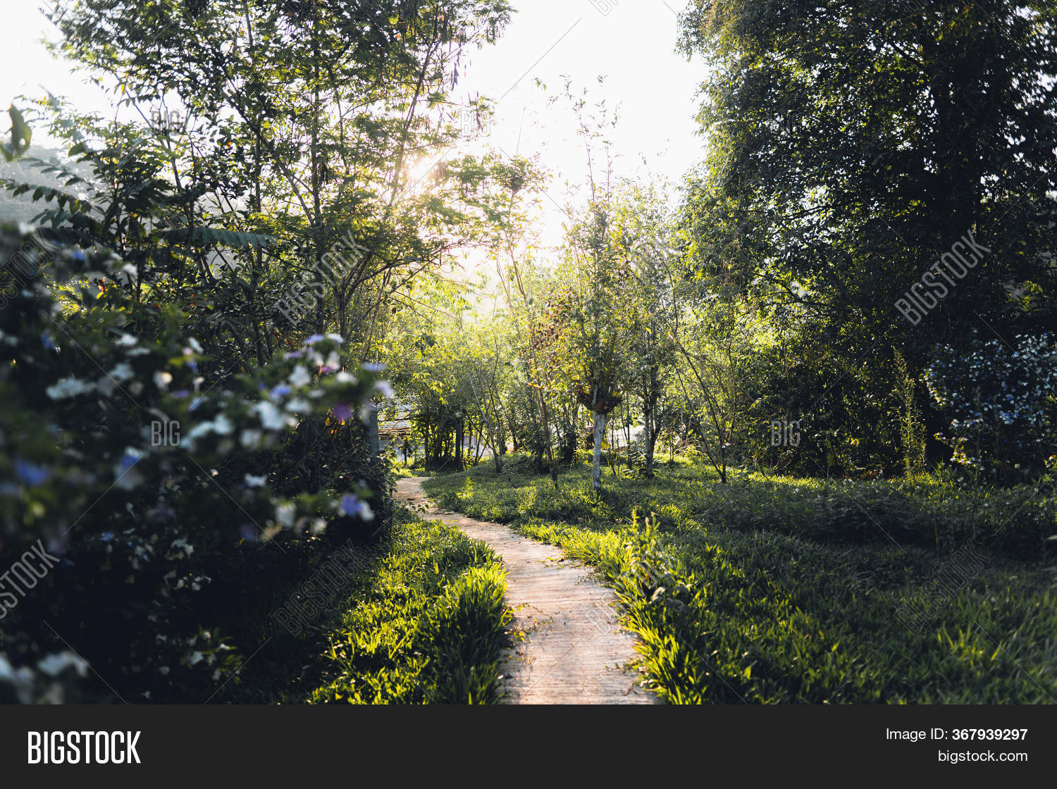 Garden Pathway Flowers Image & Photo (Free Trial) | Bigstock