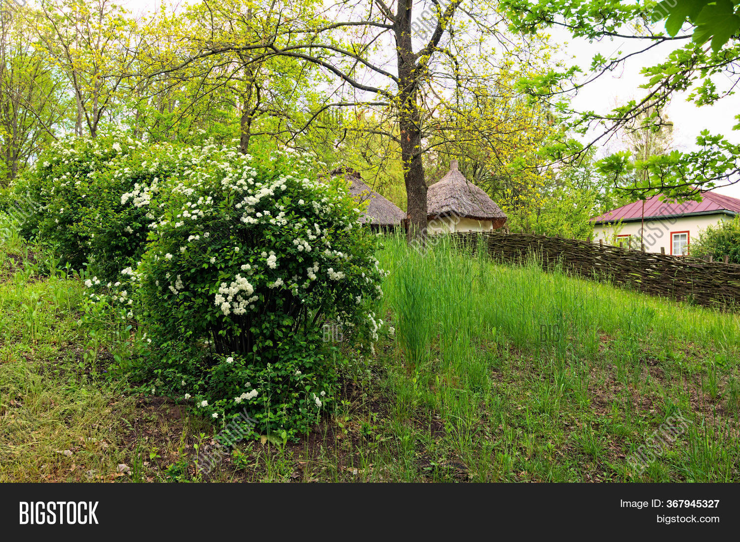 Pereyaslav, Ukraine- Image & Photo (Free Trial) | Bigstock