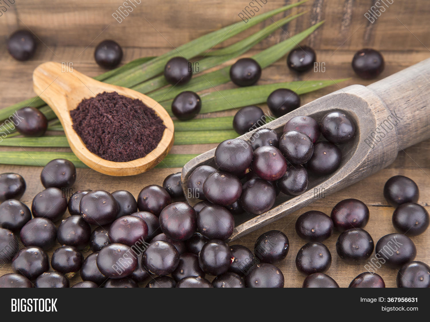 Acai Powder Berries - Image & Photo (Free Trial) | Bigstock