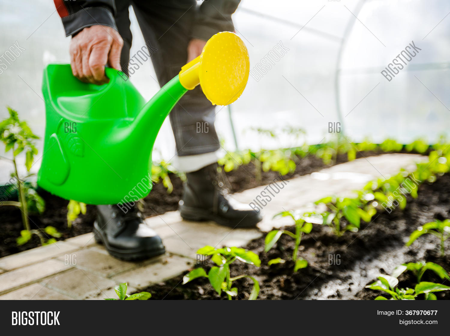 Plastic Green Watering Image & Photo (Free Trial) | Bigstock