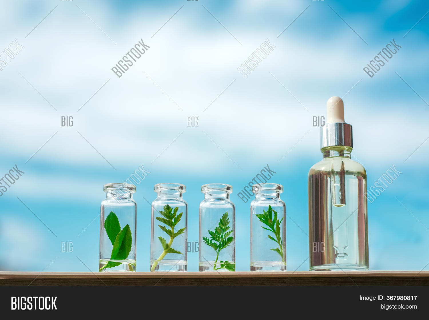 Homeopathic Oil, Serum Image & Photo (Free Trial) | Bigstock