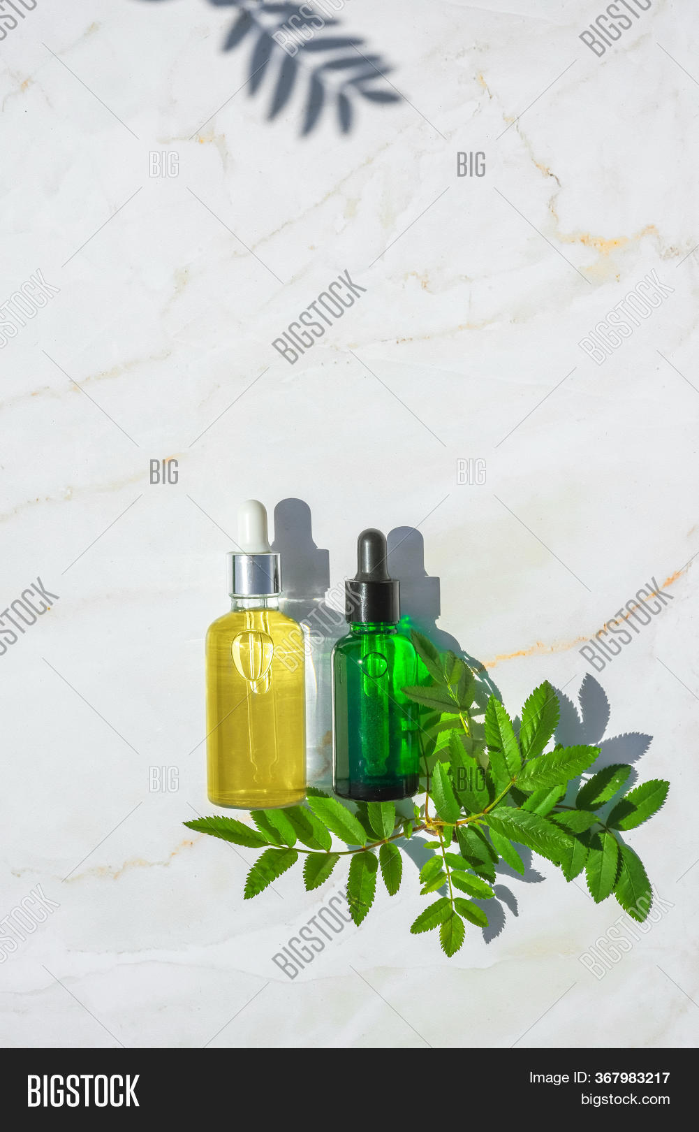 Organic Spa Cosmetic Image & Photo (Free Trial) | Bigstock