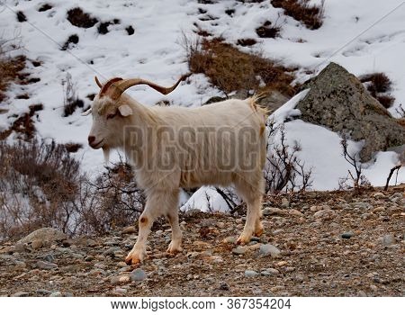 Russia. South Western Image & Photo (Free Trial) | Bigstock