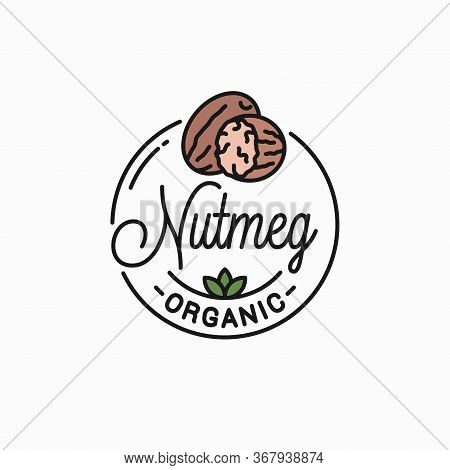 Nutmeg Nut Logo. Vector & Photo (Free Trial) | Bigstock