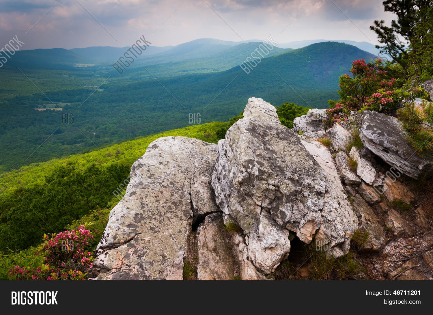 Appalachian Ridge And Valley Information