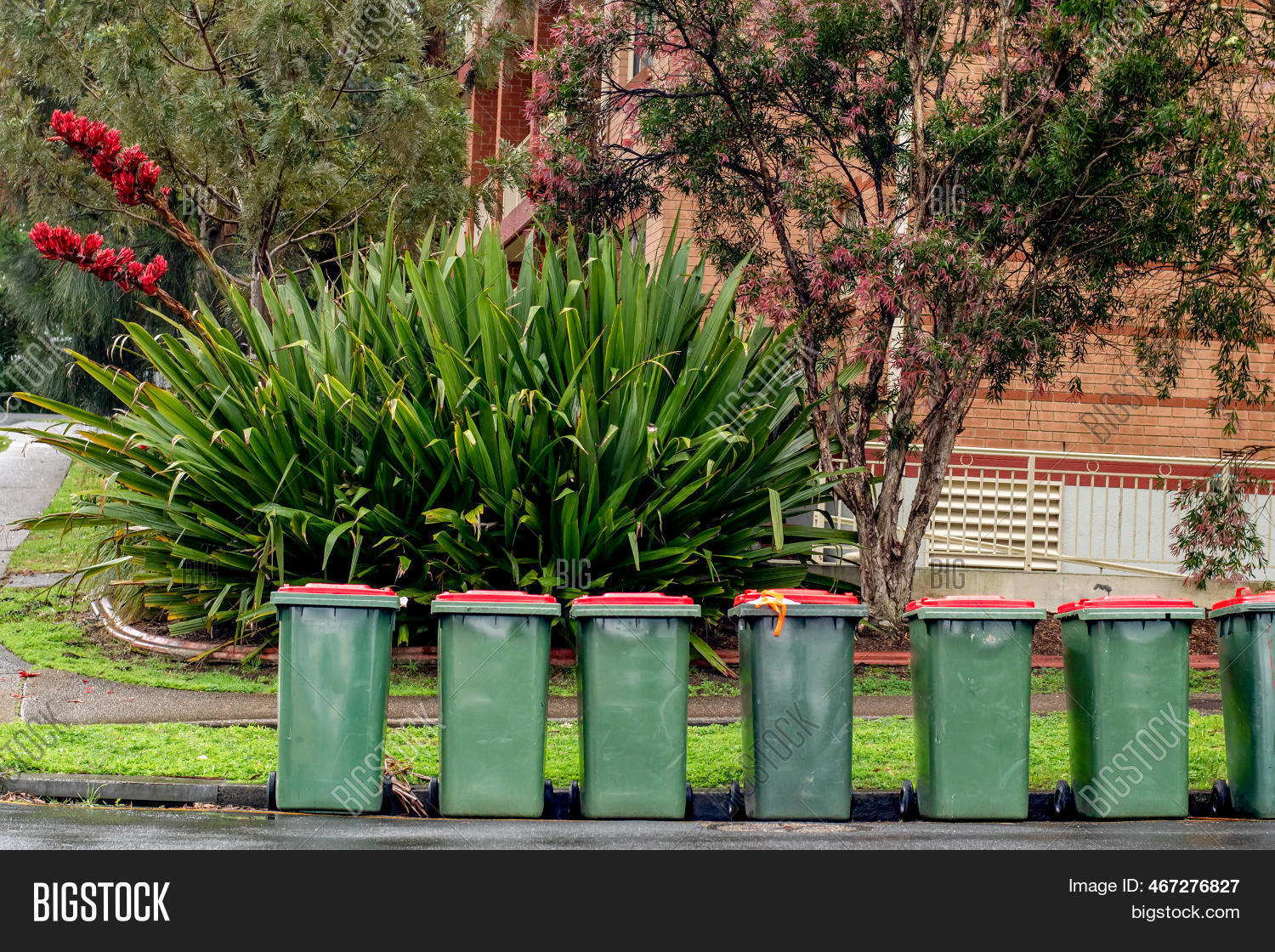 Australian Garbage Image & Photo (Free Trial) | Bigstock