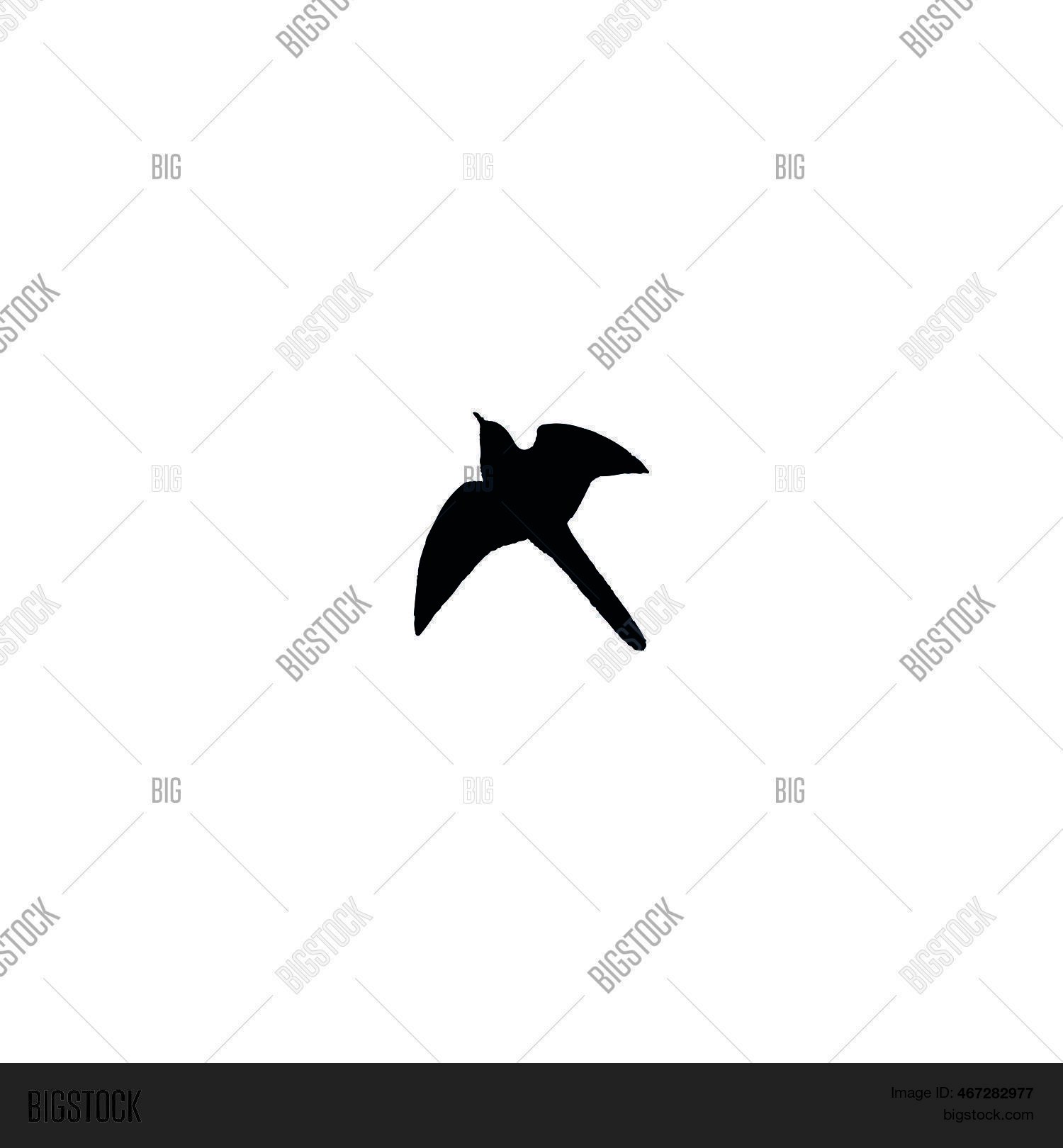 Cuckoo Icon. Simple Vector & Photo (Free Trial) | Bigstock