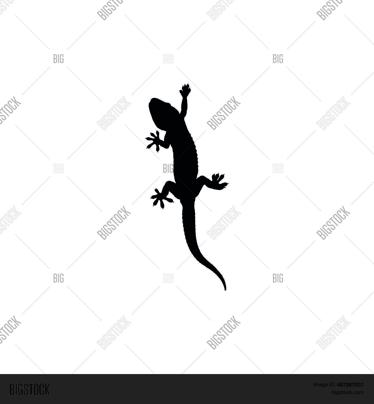 Gecko Icon. Simple Vector & Photo (Free Trial) | Bigstock