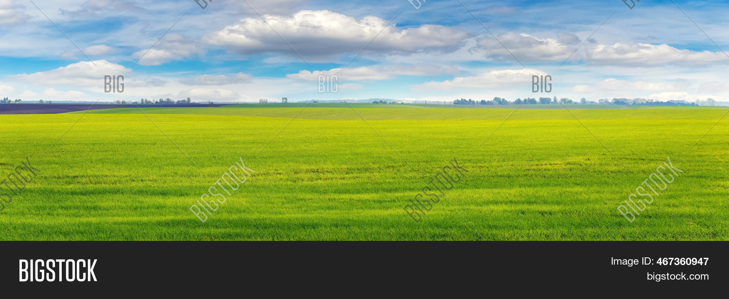 Wide Field Young Green Image & Photo (Free Trial) | Bigstock