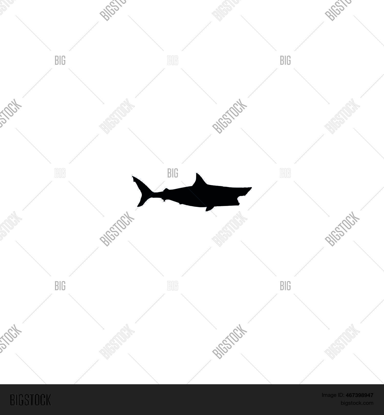 Shark Icon. Simple Vector & Photo (Free Trial) | Bigstock