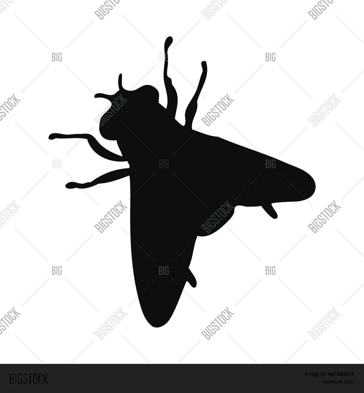 Silhouette Fly. Fly Vector & Photo (Free Trial) | Bigstock