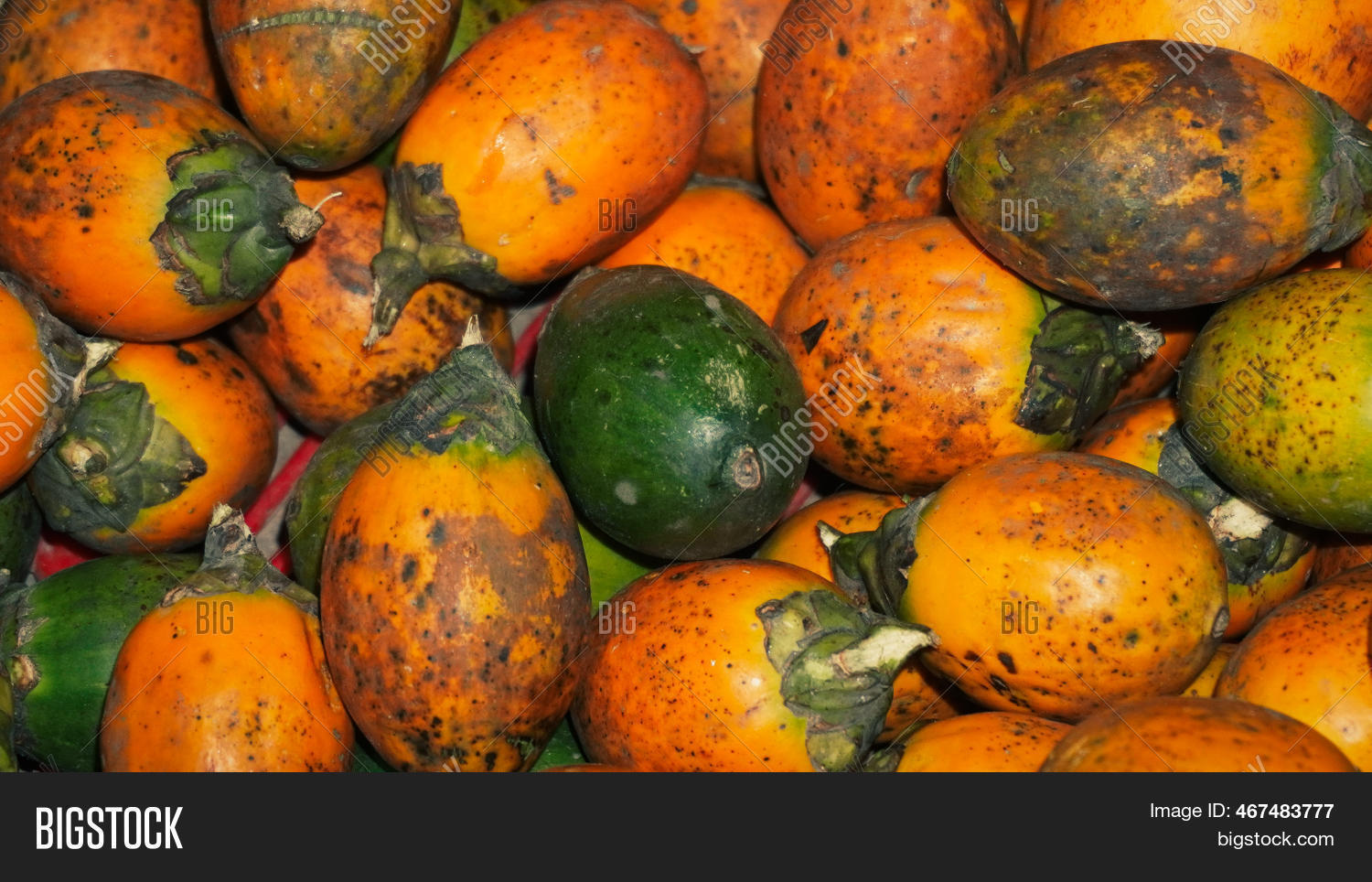 Indian Betel Nut. Image & Photo (Free Trial) | Bigstock