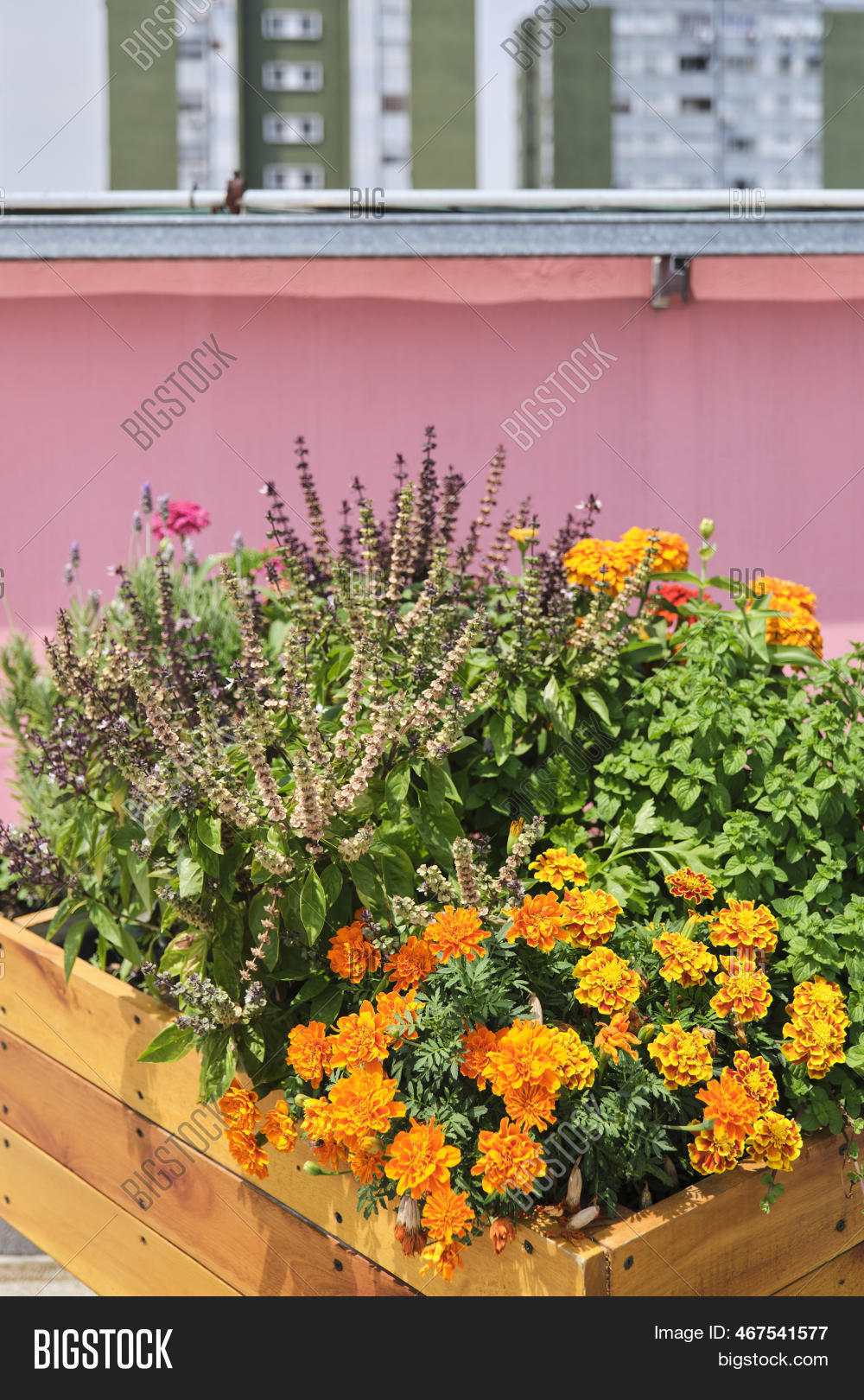 Vegetables Aromatic Image & Photo (Free Trial) | Bigstock