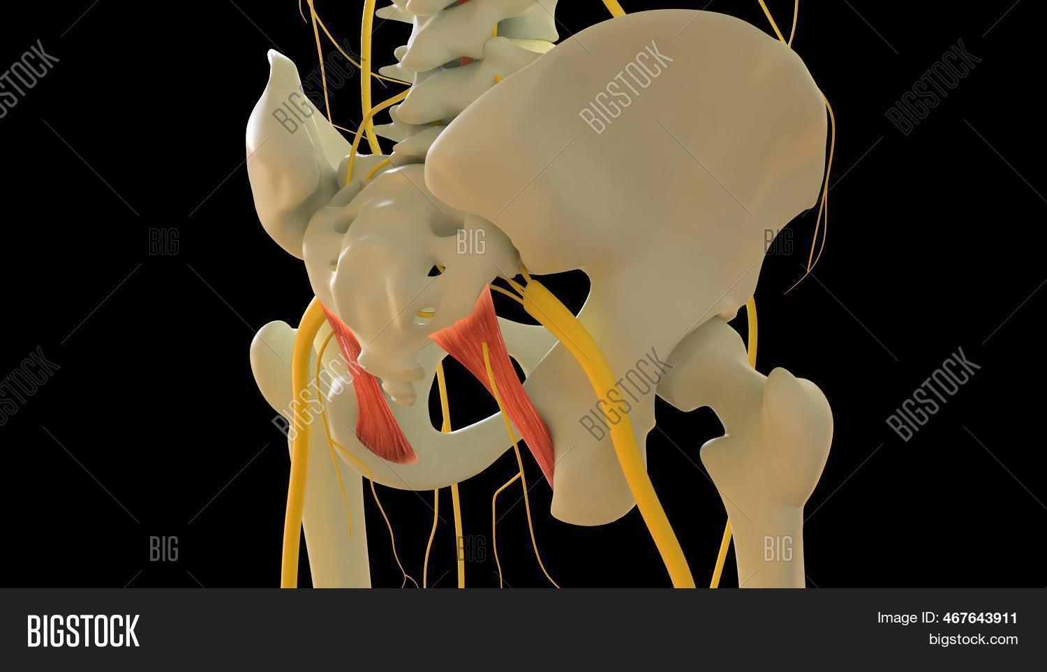 afbeelding en foto (gratis proefversie) | Bigstock