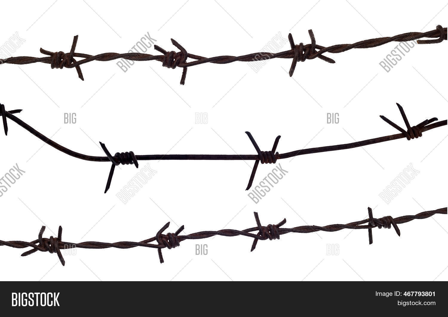 Barbed Wire On White Image & Photo (Free Trial) | Bigstock