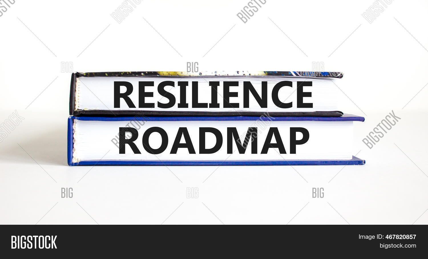 Resilience Roadmap Image & Photo (Free Trial) | Bigstock