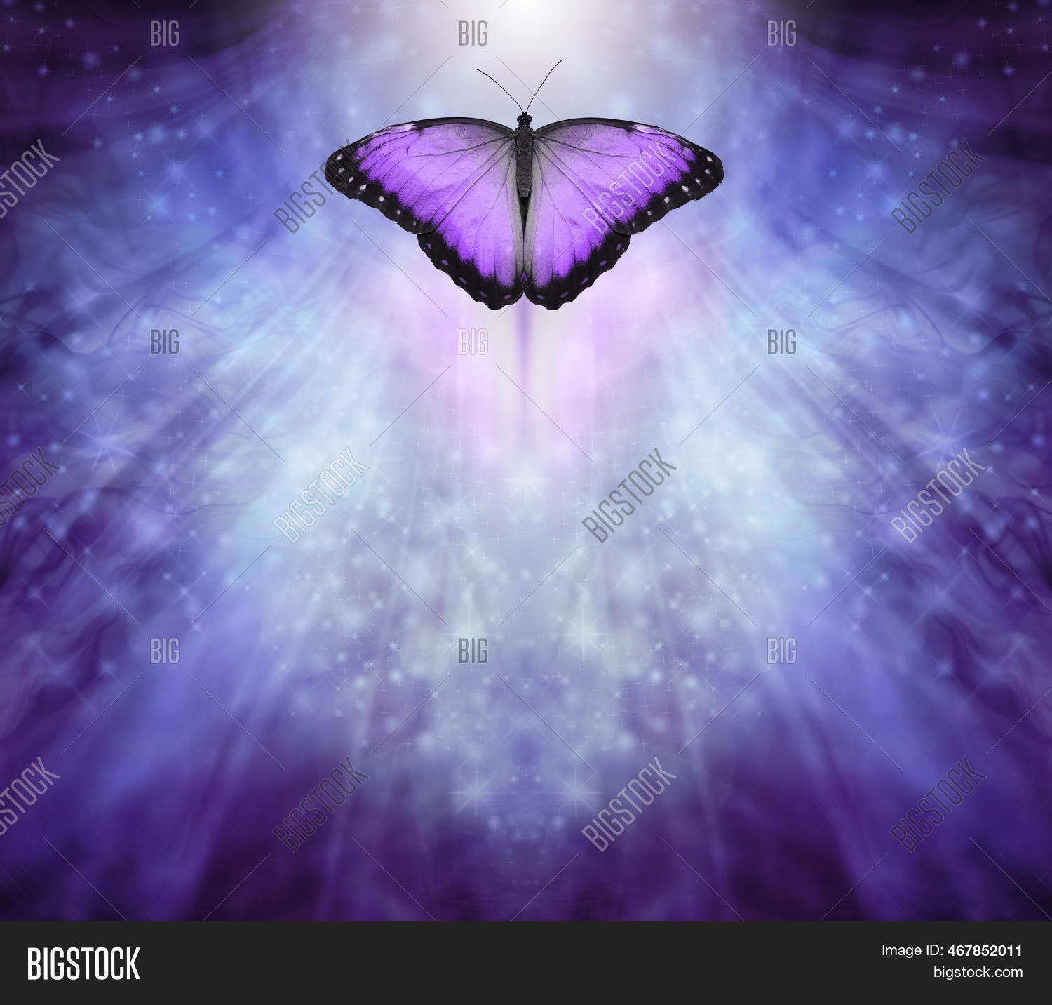Butterfly Message Image & Photo (Free Trial) | Bigstock