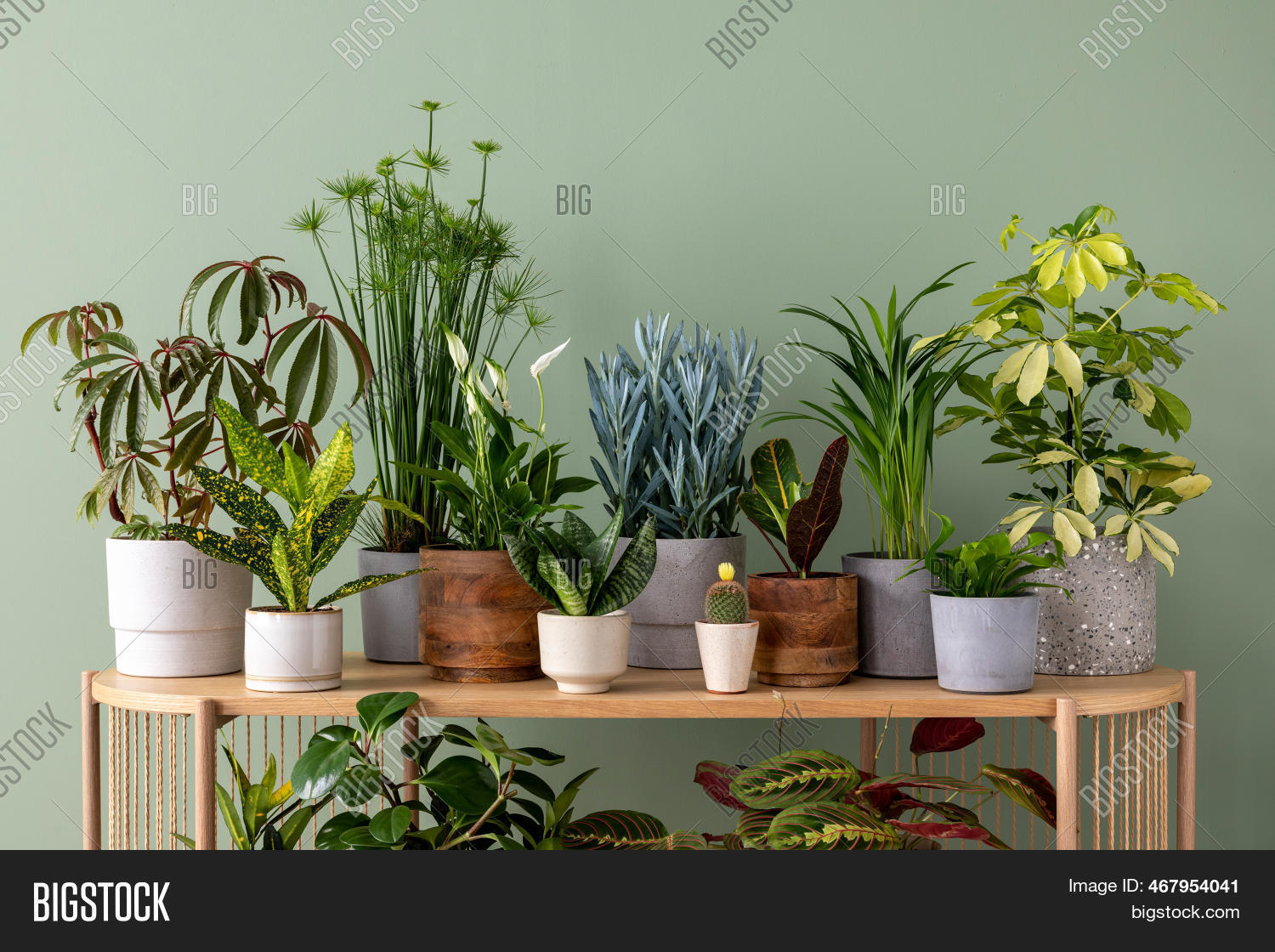 Creative Composition Image & Photo (Free Trial) | Bigstock