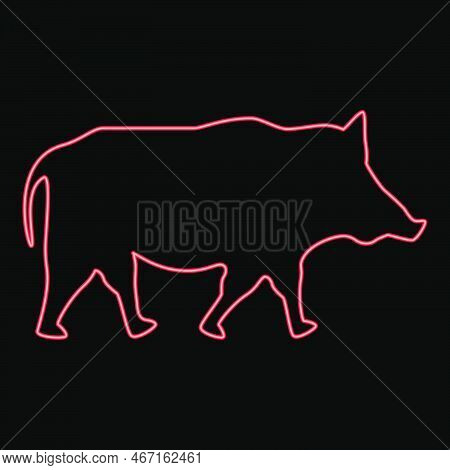Neon Wild Boar Wild Vector & Photo (Free Trial) | Bigstock
