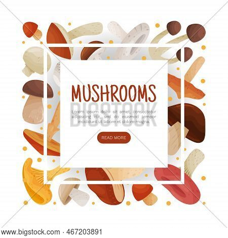 Mushroom Banner Vector & Photo (Free Trial) | Bigstock