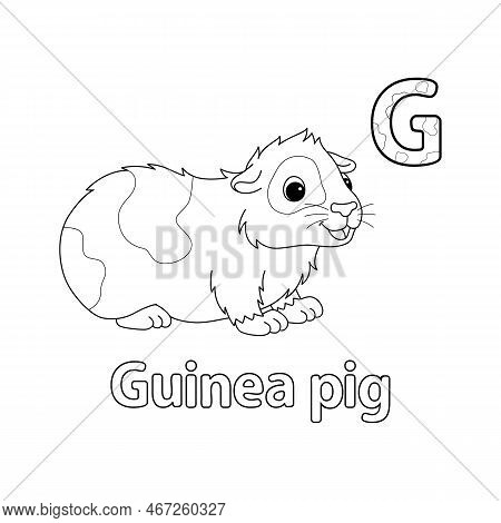 This Abc Vector Image Vector & Photo (Free Trial) | Bigstock
