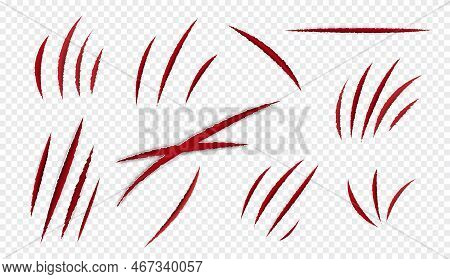 Scratches Beast Vector & Photo (Free Trial) | Bigstock