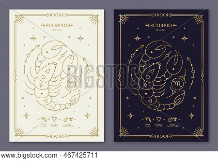 Scorpio Zodiac Vector & Photo (Free Trial) | Bigstock