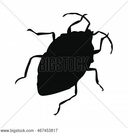 Silhouette Bug. Bug Vector & Photo (Free Trial) | Bigstock