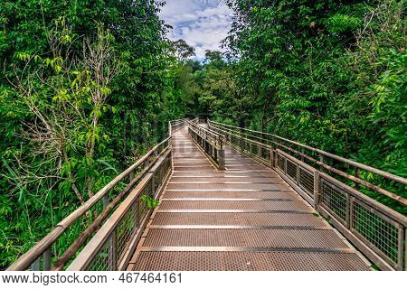 Tourist Lookout Bridge Image & Photo (Free Trial) | Bigstock