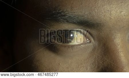 Human Eye Scanning Image & Photo (Free Trial) | Bigstock