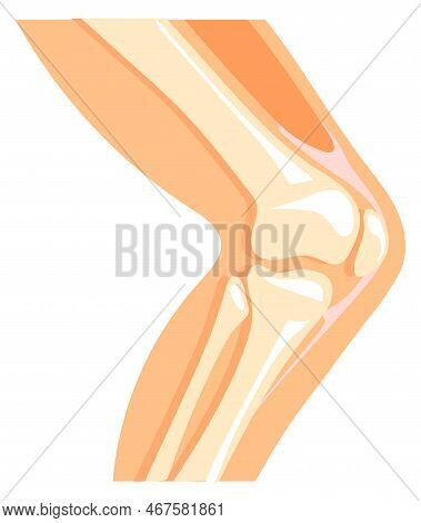 Human Knee Icon. Vector & Photo (Free Trial) | Bigstock
