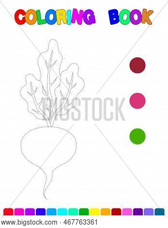 Coloring Book Beet. Vector & Photo (Free Trial) | Bigstock