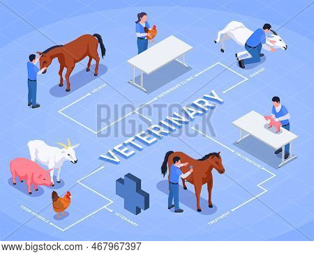 Farm Animals Vector & Photo (Free Trial) | Bigstock