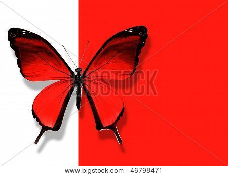 Red Butterfly Flying Image & Photo (Free Trial) | Bigstock