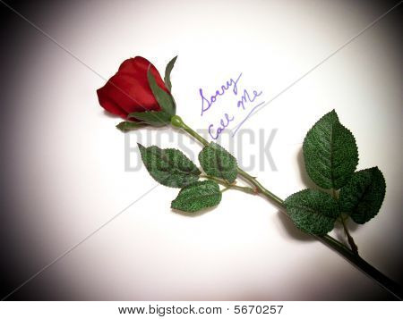 Red Rose Sorry Note Image & Photo (Free Trial) | Bigstock