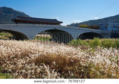 Traditional Korean Image & Photo (Free Trial) | Bigstock