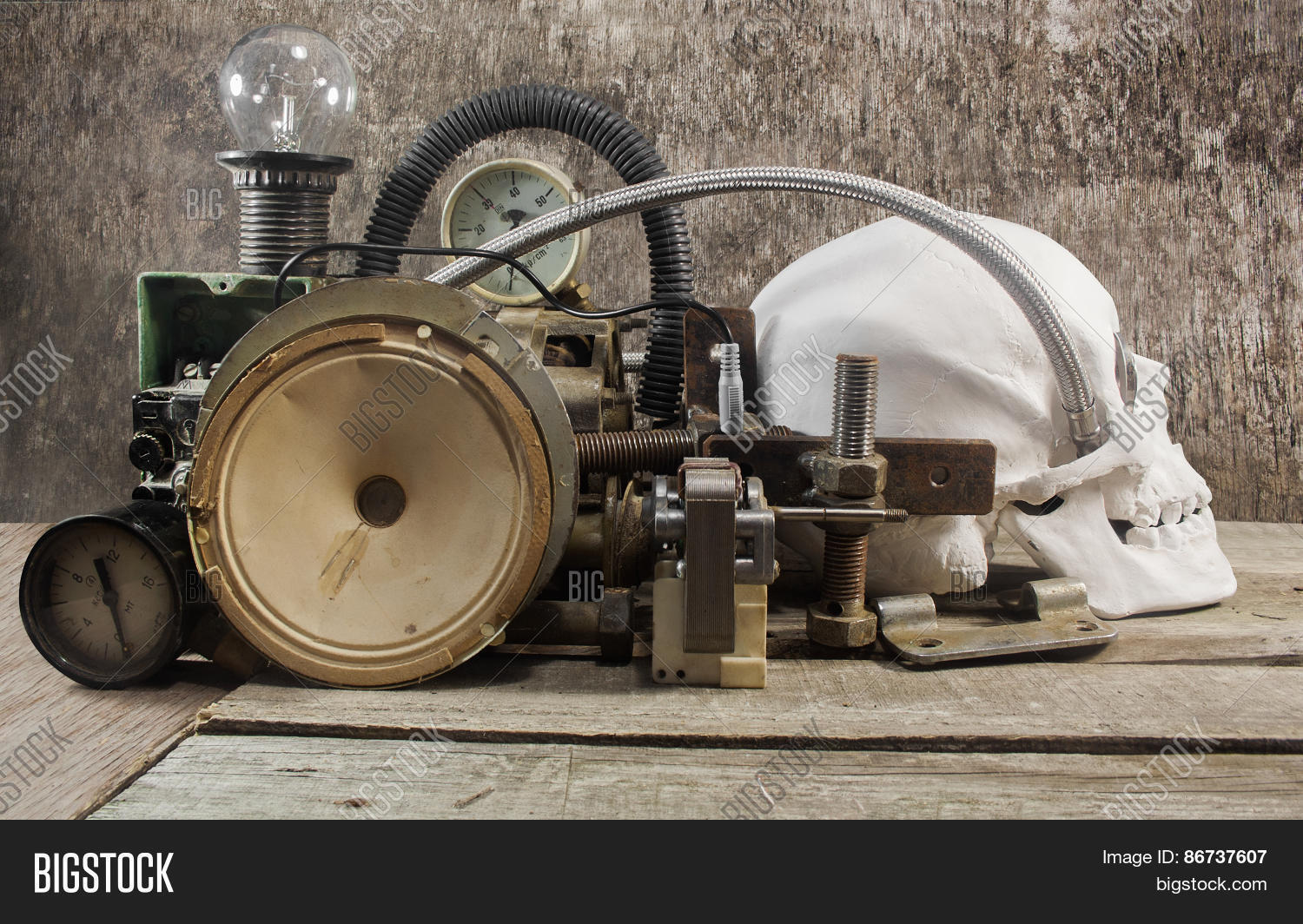 Mechanical Skull Image & Photo (Free Trial) | Bigstock