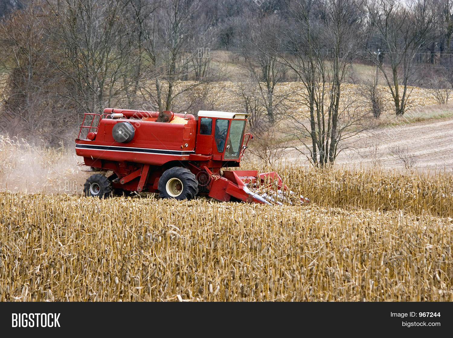 Working Corn Combine Image & Photo (Free Trial) | Bigstock