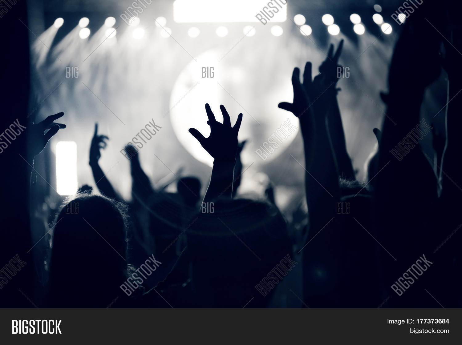 Crowd Music Concert, Image & Photo (Free Trial) | Bigstock