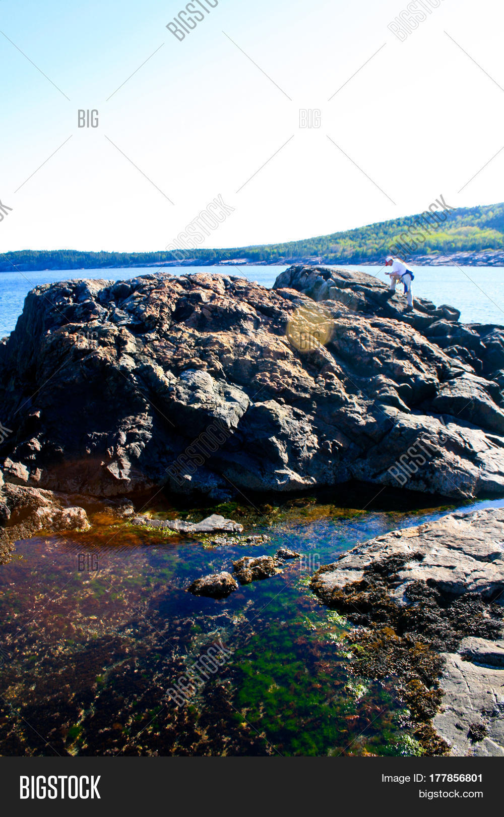 Tidal Pools Acadia Image & Photo (Free Trial) | Bigstock