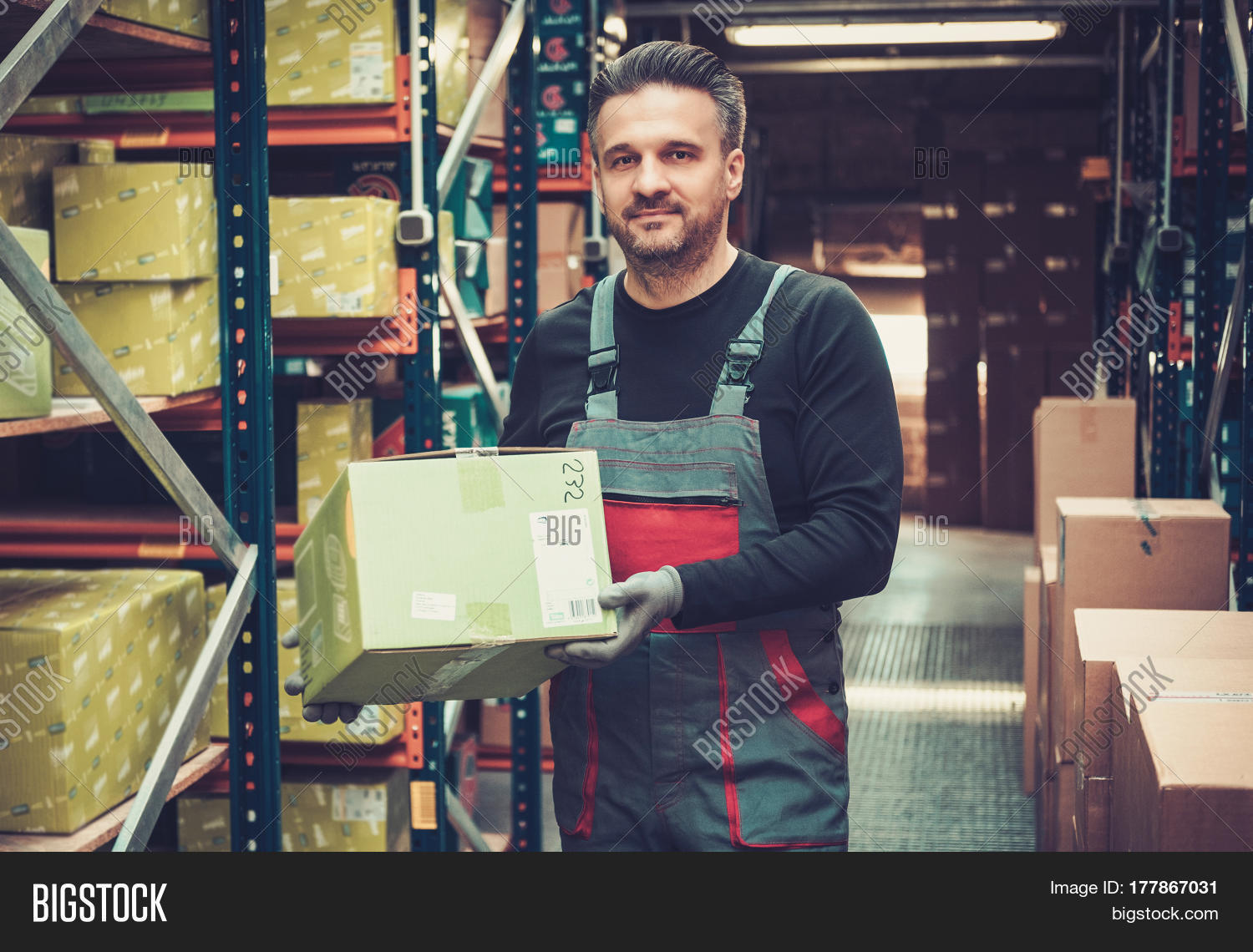 Storekeeper Working Image & Photo (Free Trial) | Bigstock