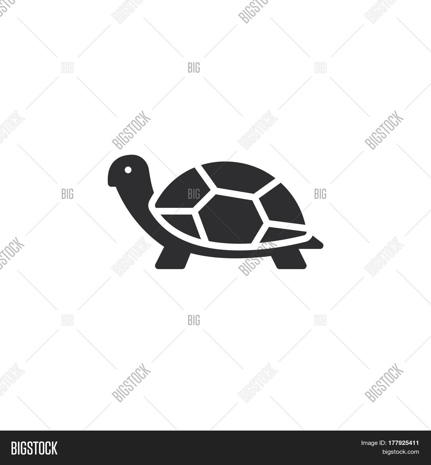 icon turtle