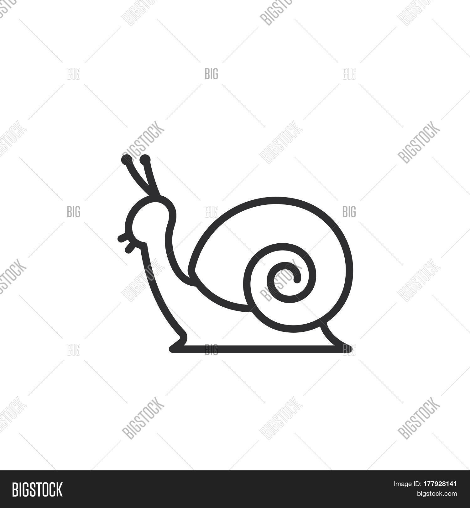 Snail Outline