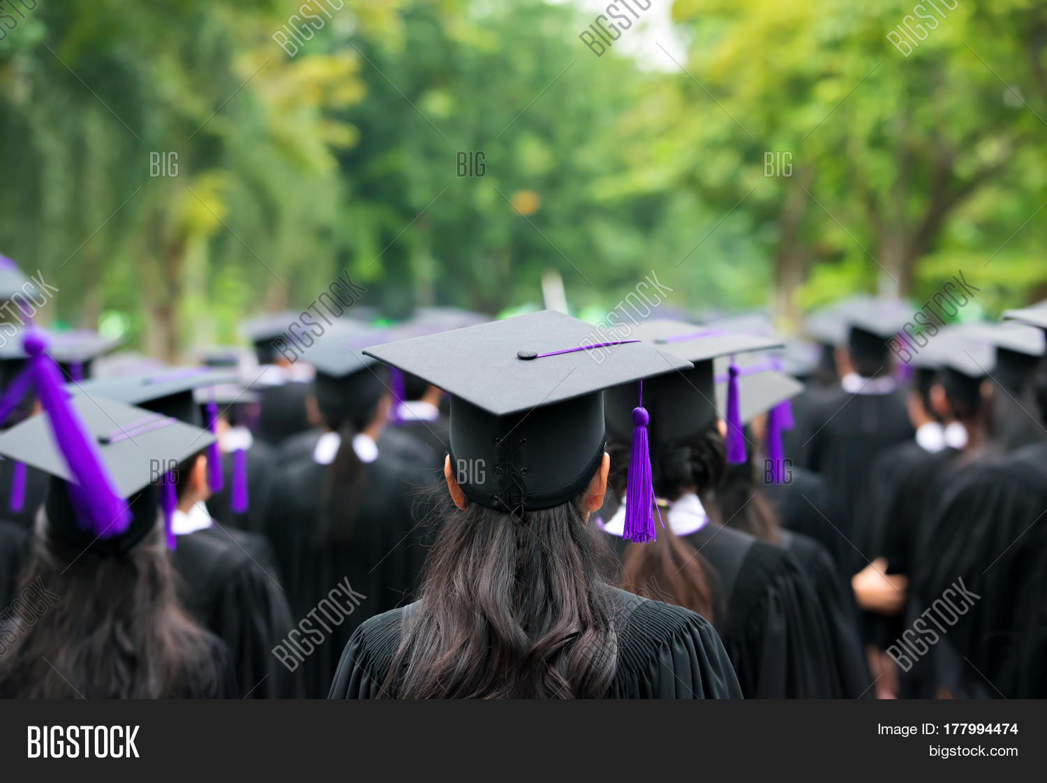 Back Graduates During Image & Photo (Free Trial) | Bigstock