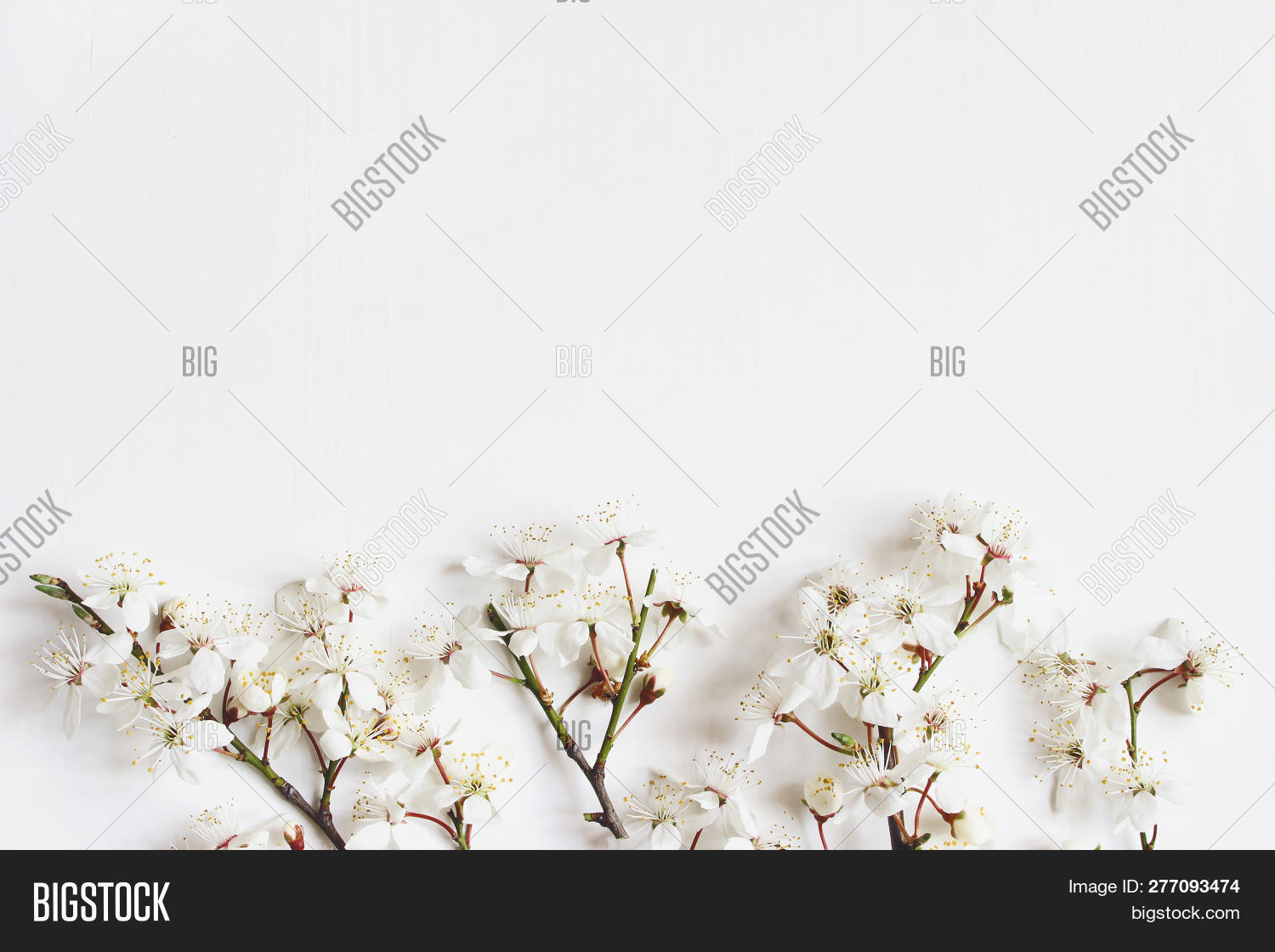 Spring Banner. White Image & Photo (Free Trial) | Bigstock